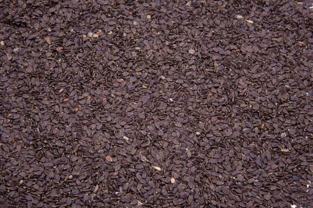 Mahabeera Seeds (Beera Ginjalu) - Benefits, Uses & Nutrition